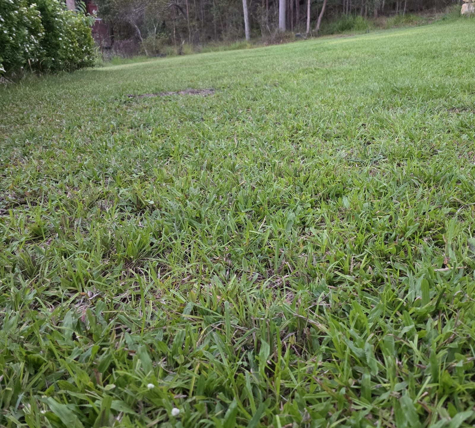 FortiTech - The force is strong with this one: Segway X330 Robot Mower ...